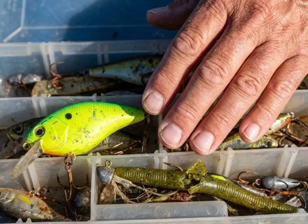 Fishing Barometric Pressure: Science & Lure Strategy